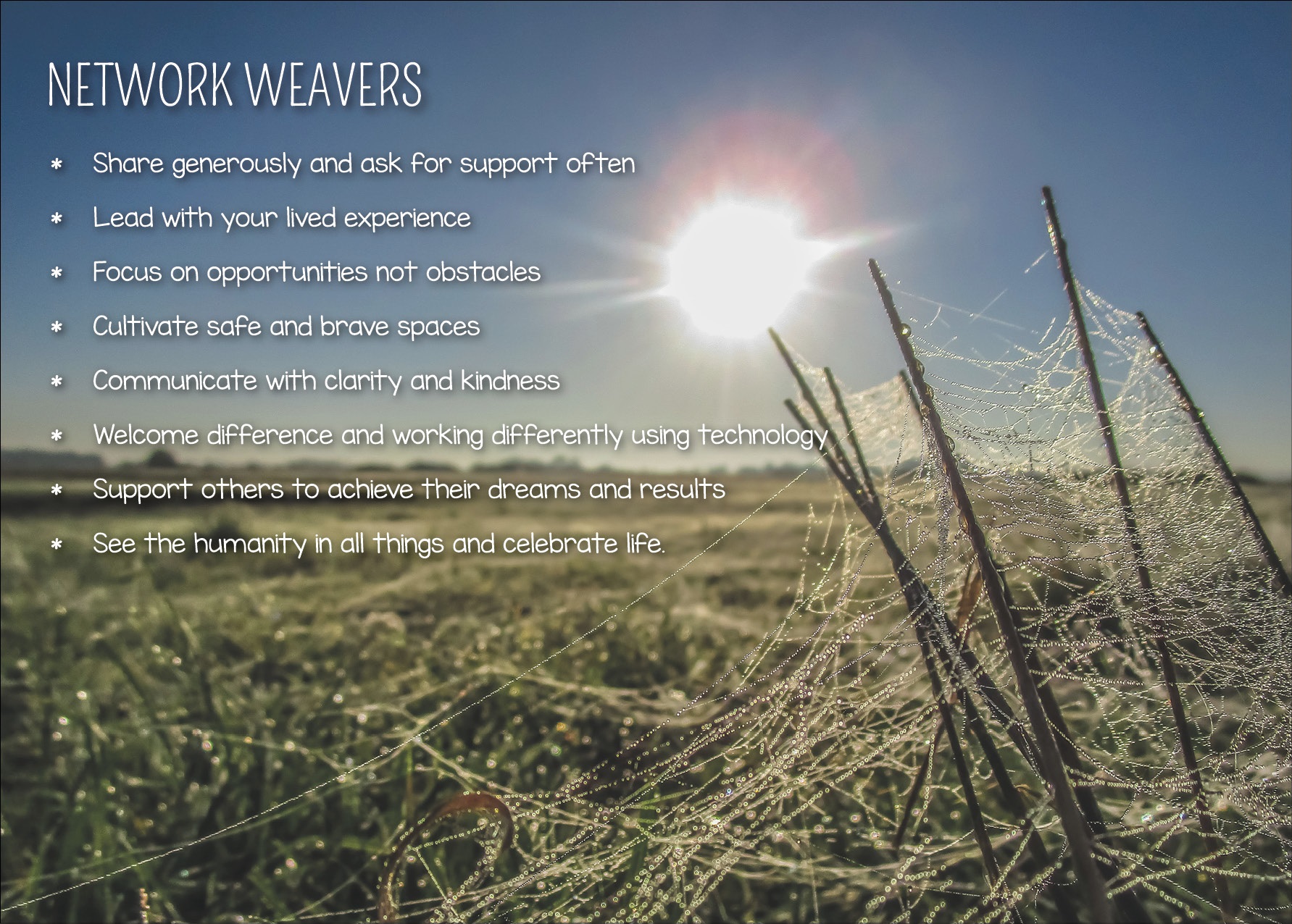 Network weaving and self management - Health and Social Care Alliance ...